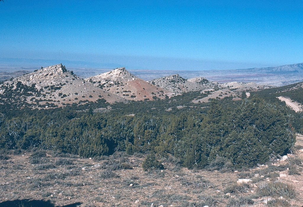 Wyoming Area 123 - Yellowtail Unit Profile // GOHUNT. The Hunting Company