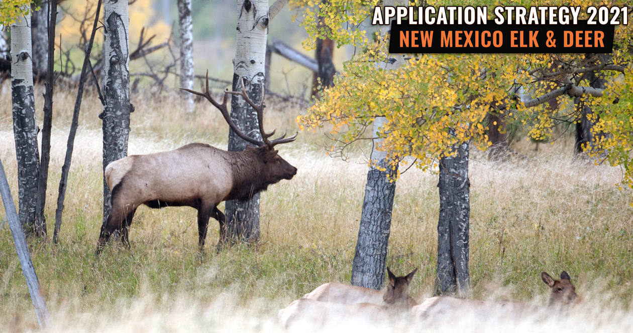 APPLICATION STRATEGY 2021: New Mexico Elk and Deer // GOHUNT. The Hunting Company
