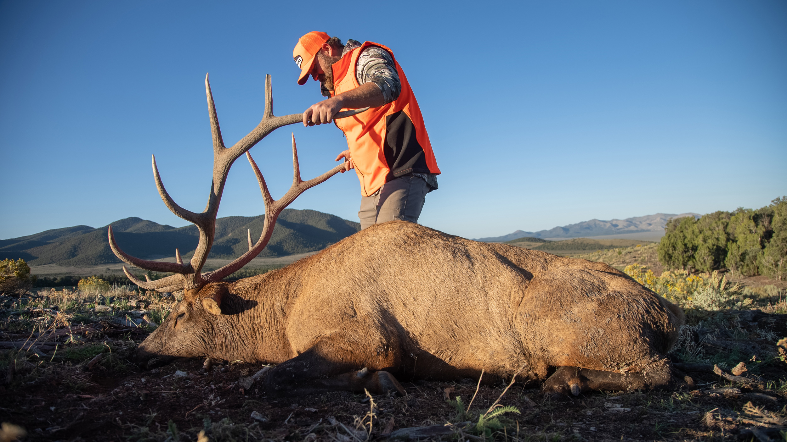 How to narrow down where to hunt when you draw a multi-unit permit ...