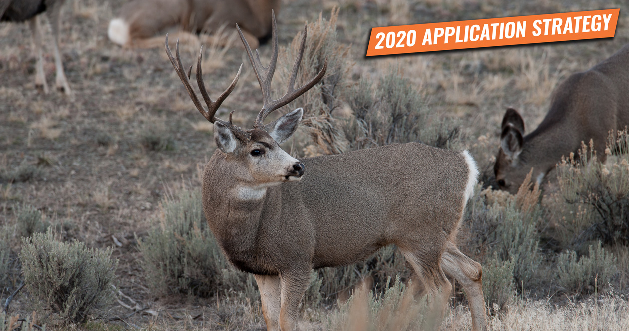 APPLICATION STRATEGY 2020: Idaho Elk, Deer, and Antelope // GOHUNT. The Hunting Company