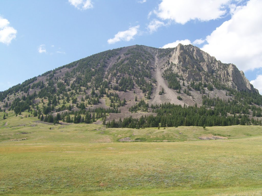 Montana Hunt District 401 Unit Profile // GOHUNT. The Hunting Company