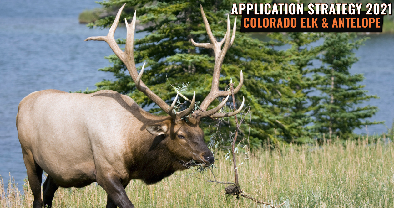 APPLICATION STRATEGY 2021: Colorado Elk and Antelope // GOHUNT. The ...