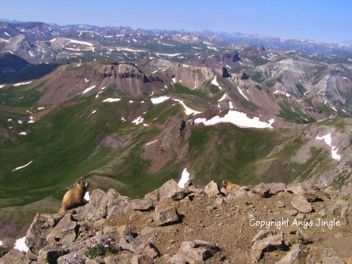 Colorado Unit S21 Unit Profile // GOHUNT. The Hunting Company