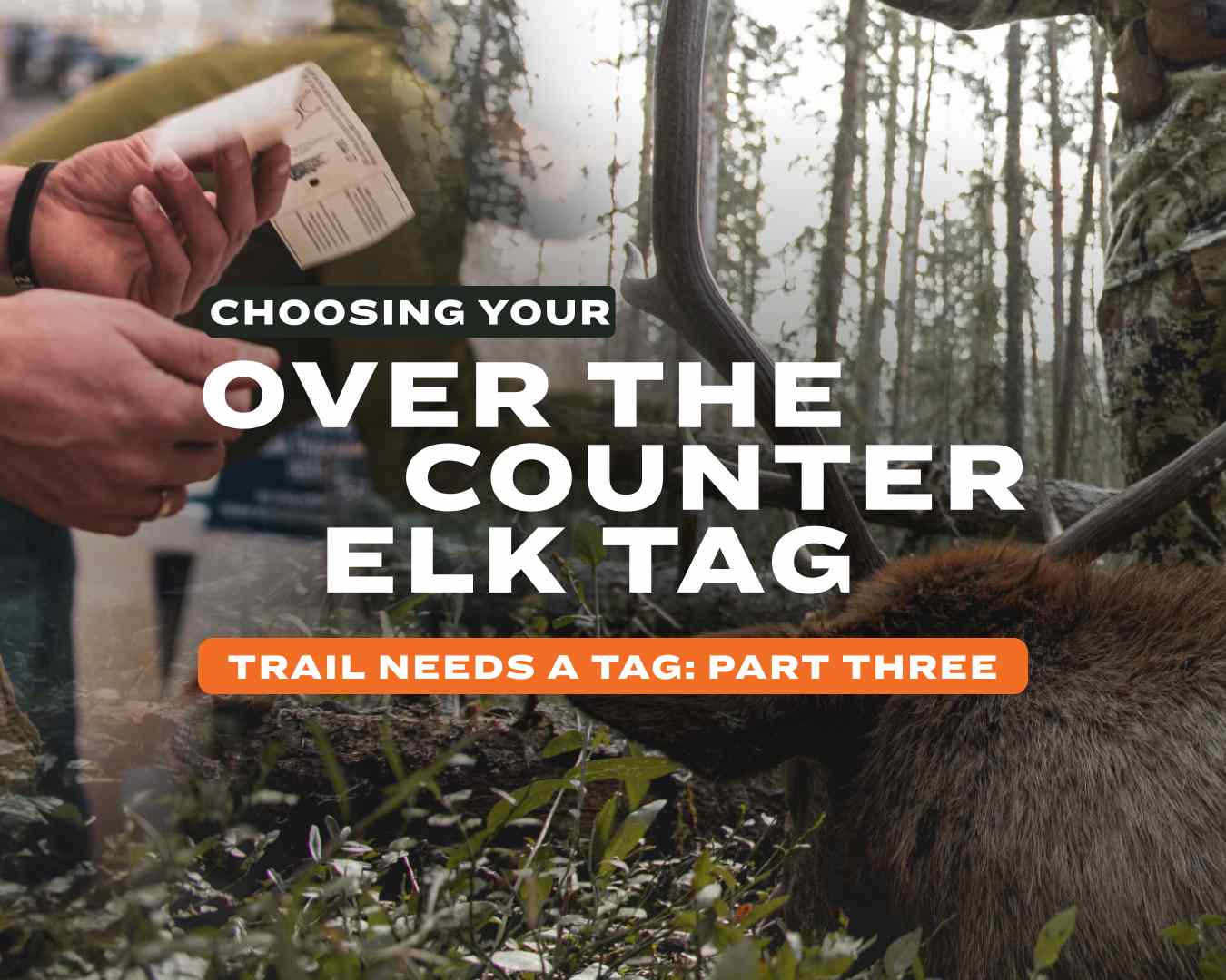 The final phase of how to get an elk tag to hunt this year — Trail needs an elk tag: Part 3 ...