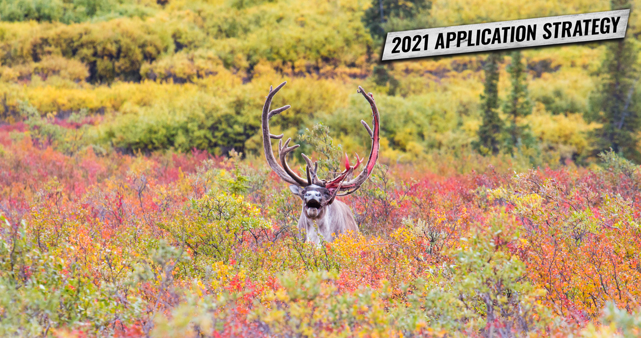Application Strategy 2021: Alaska // GOHUNT. The Hunting Company