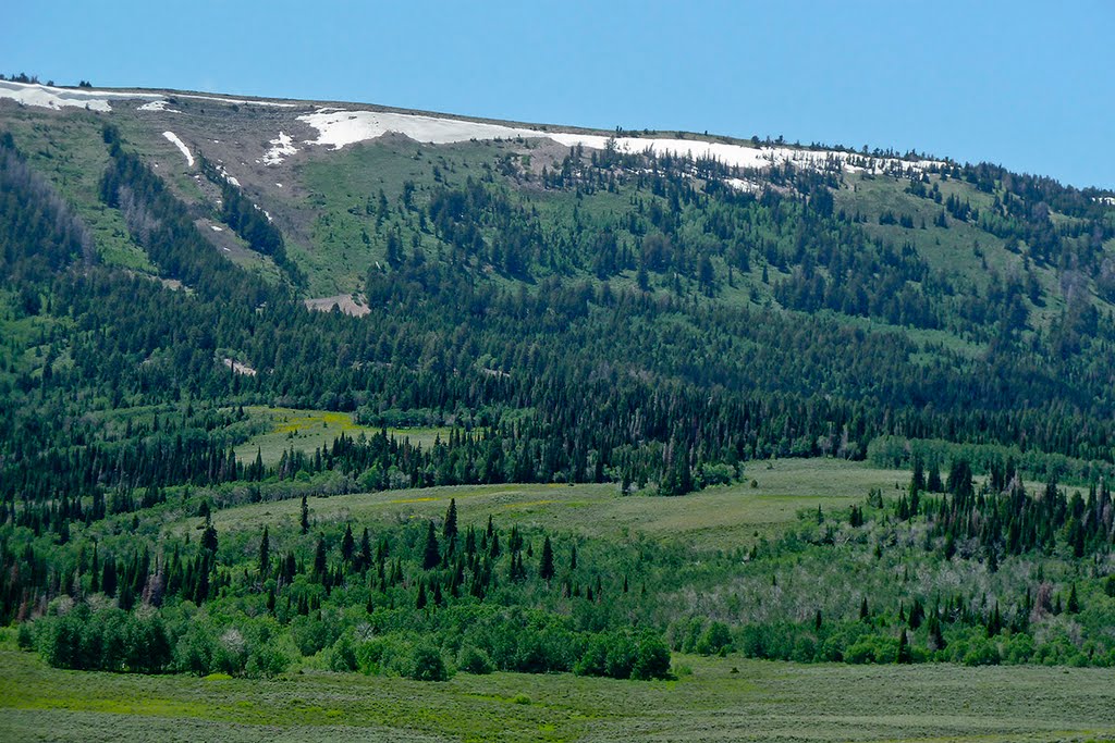 Wyoming Area 94 - Carter Lease Unit Profile // GOHUNT. The Hunting Company