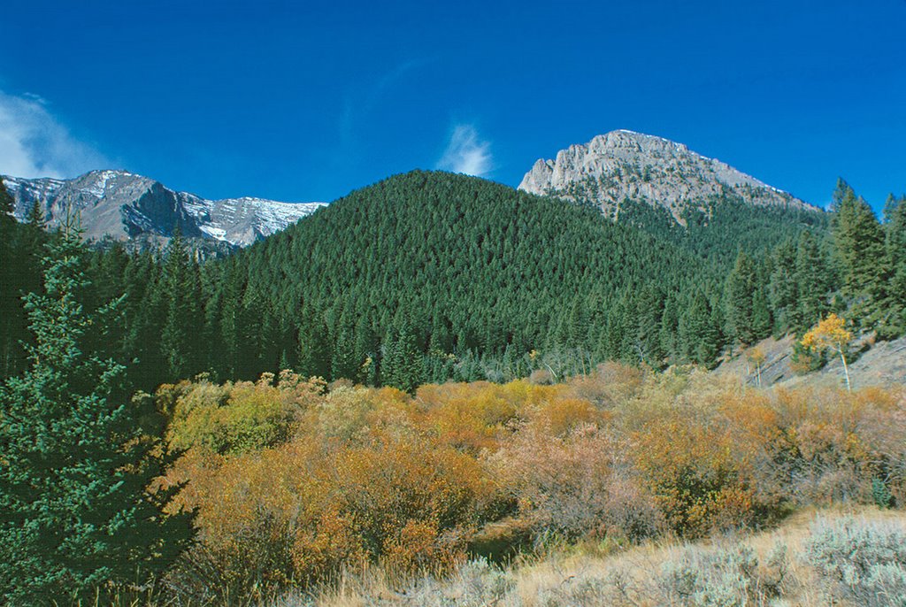 Idaho Unit 59A Unit Profile - 18 Hunters are talking about this Unit ...