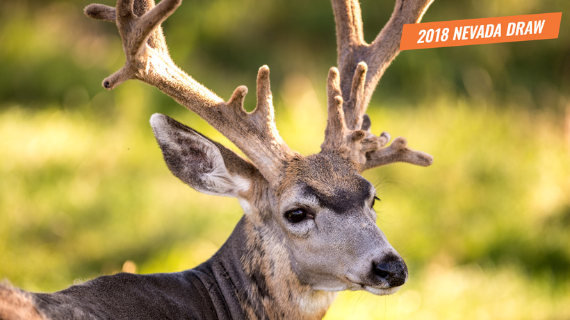 Nevada's 2018 Big Game Draw Happening Today // GOHUNT. The Hunting Company