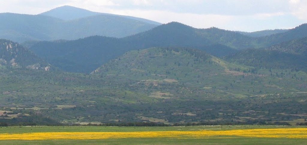 Colorado Unit S50 Unit Profile // GOHUNT. The Hunting Company