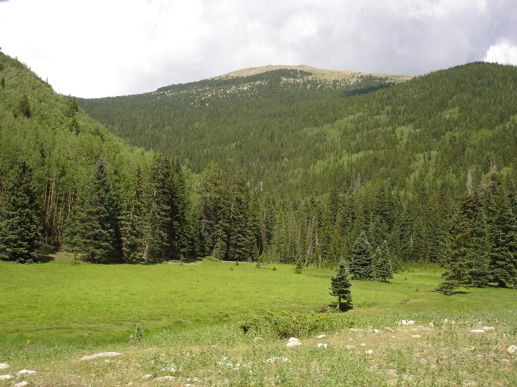 New Mexico Unit 45 Unit Profile // GOHUNT. The Hunting Company