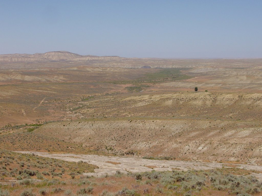 Wyoming Area 76 - Copper Mountain Unit Profile // GOHUNT. The Hunting ...