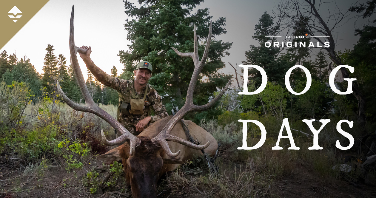 DOG DAYS — An elk hunter's dream // GOHUNT. The Hunting Company