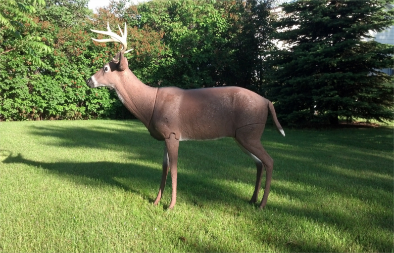 Wyoming uses deer decoy to catch poachers // GOHUNT. The Hunting Company