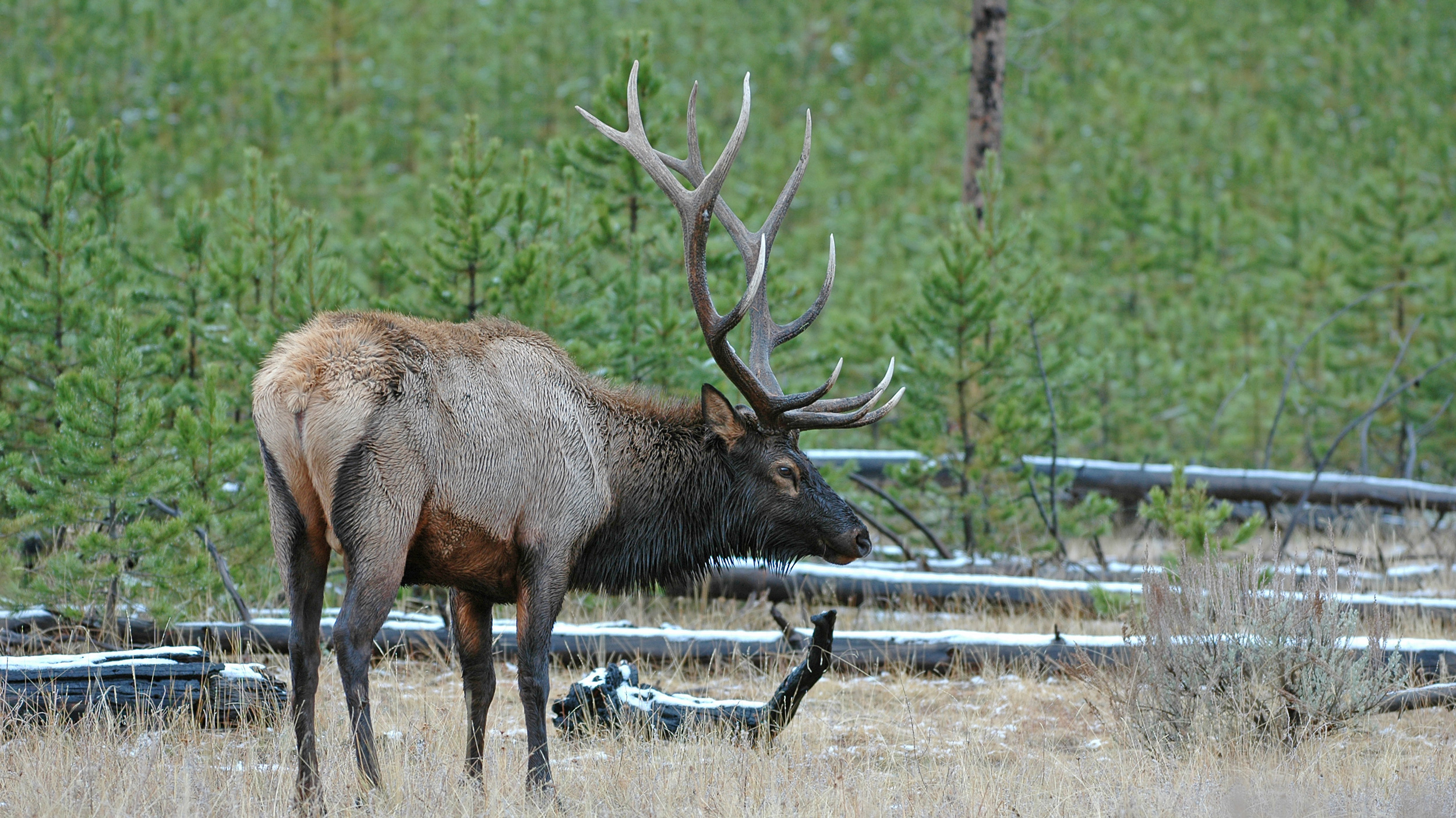 Big updates to the GOHUNT App: planning for a hunt is now easier than ...