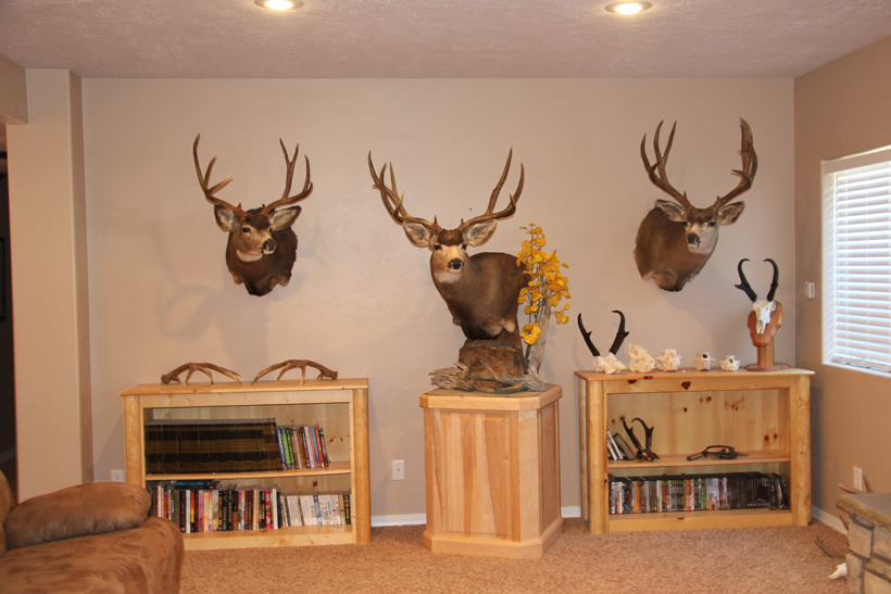 Handle with care: Cleaning your mount // GOHUNT. The Hunting Company