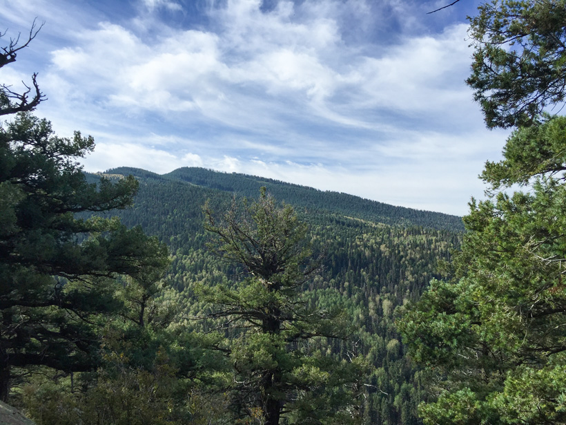 Hunting with family creates more hunting memories // GOHUNT. The ...