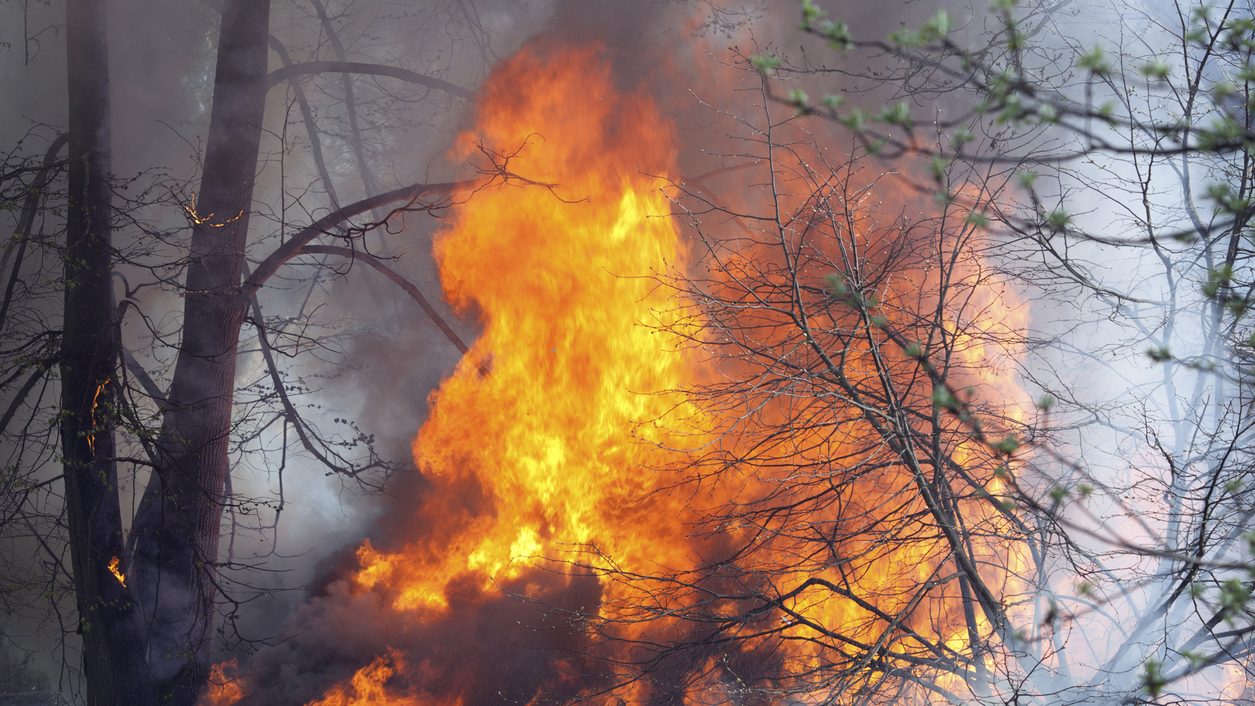 How to track active-wildfires in your hunting area and the impact they ...