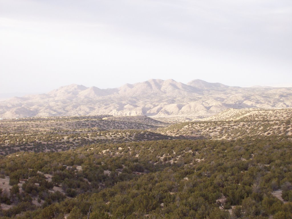 New Mexico Unit 8 Unit Profile // GOHUNT. The Hunting Company