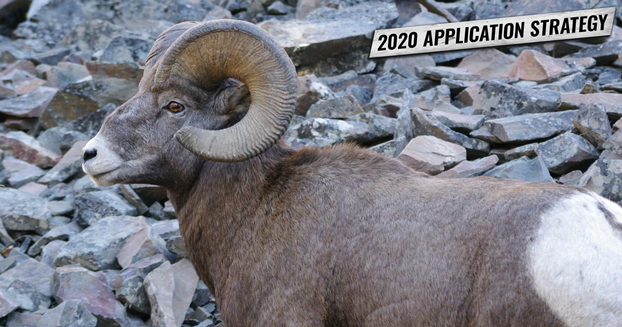 APPLICATION STRATEGY 2020: Montana Sheep, Moose, Goat, Bison // GOHUNT. The Hunting Company