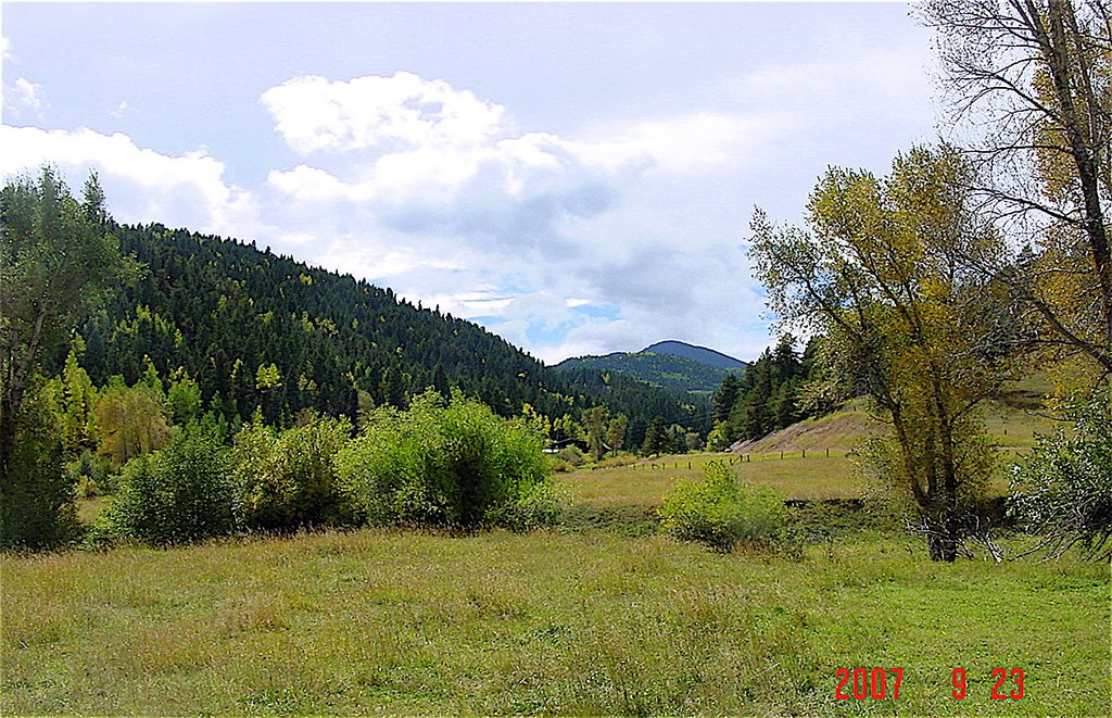 Colorado Unit 84 Unit Profile - 34 Hunters are talking about this Unit ...
