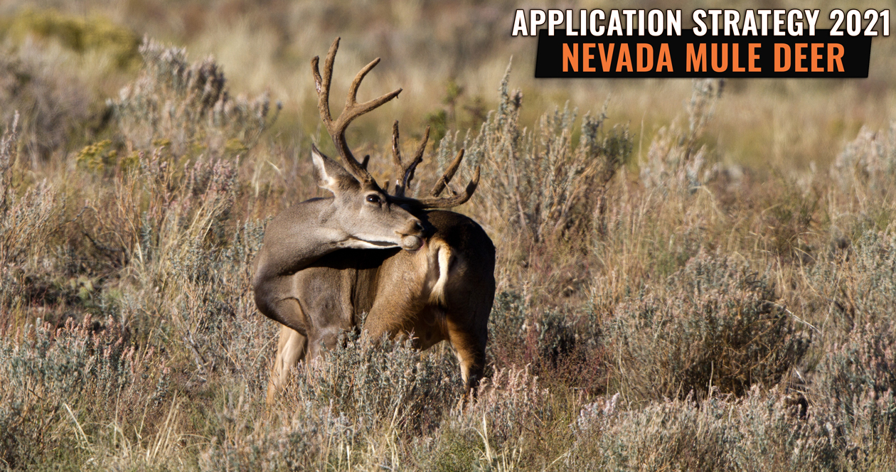 APPLICATION STRATEGY 2021: Nevada Mule Deer // GOHUNT. The Hunting Company