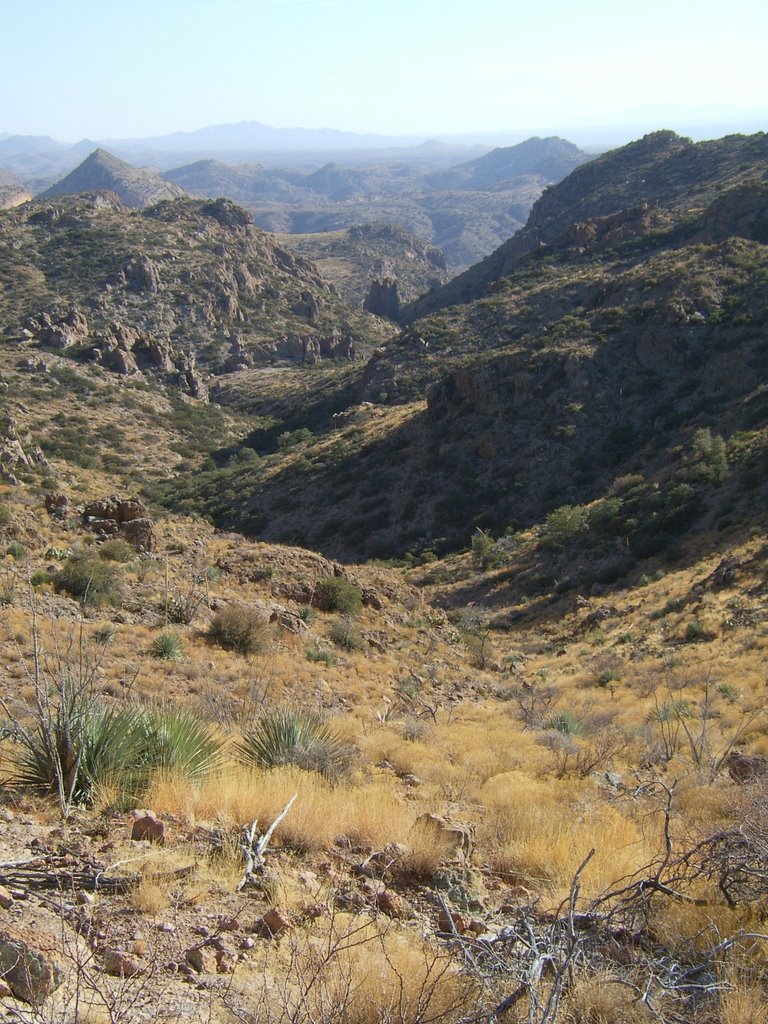 Arizona Unit 32 Unit Profile // GOHUNT. The Hunting Company