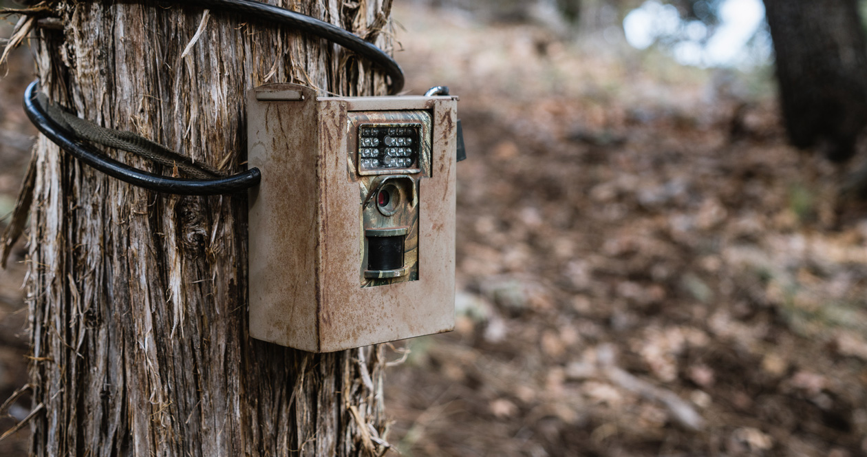 Three crucial trail camera tips for this season // GOHUNT. The Hunting ...