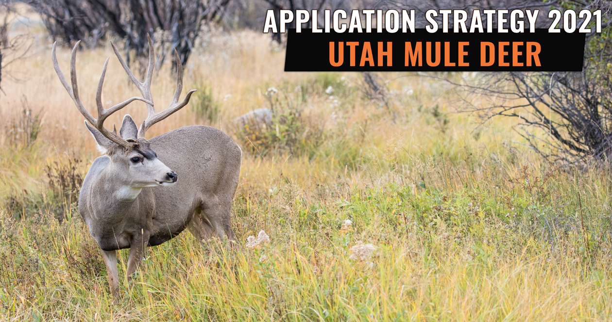 APPLICATION STRATEGY 2021: Utah Mule Deer // GOHUNT. The Hunting Company