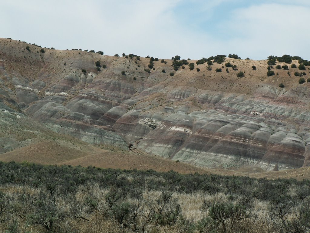 Utah Vernal/Bonanza Unit Profile // GOHUNT. The Hunting Company