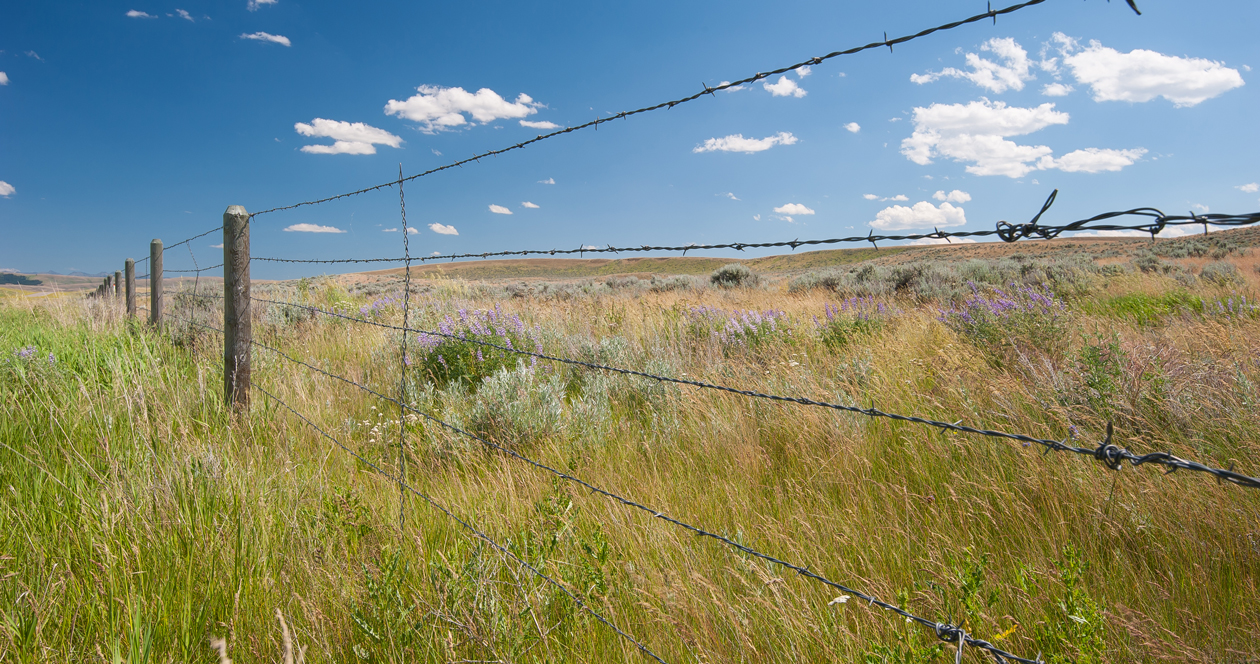 New legislation opens up inaccessible federal and state lands in ...