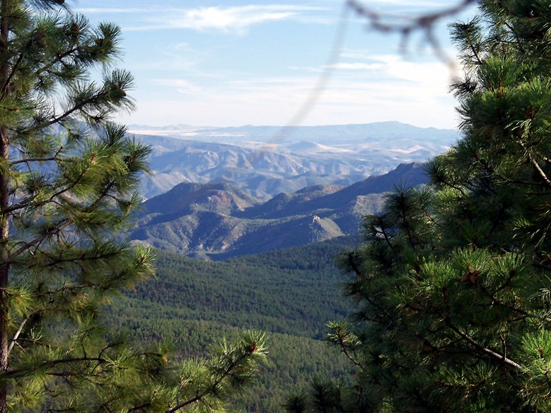 Arizona Unit 27 Unit Profile // GOHUNT. The Hunting Company