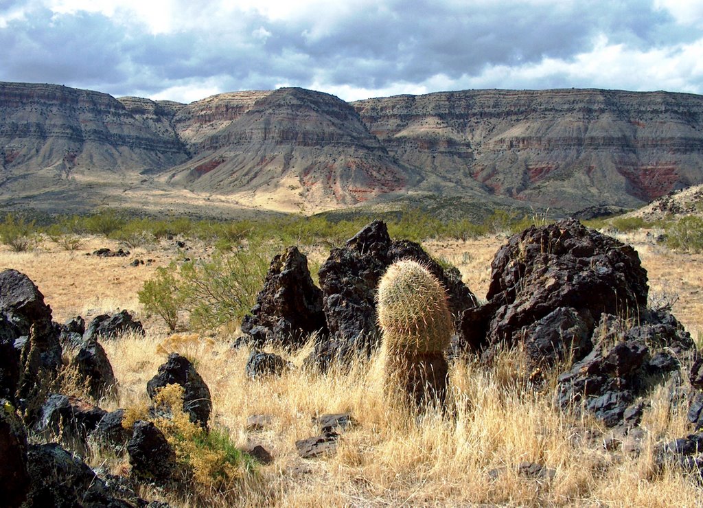 Arizona Unit 13B Unit Profile // GOHUNT. The Hunting Company