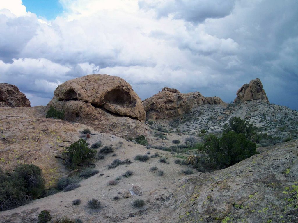 Nevada Unit 264 Unit Profile // GOHUNT. The Hunting Company