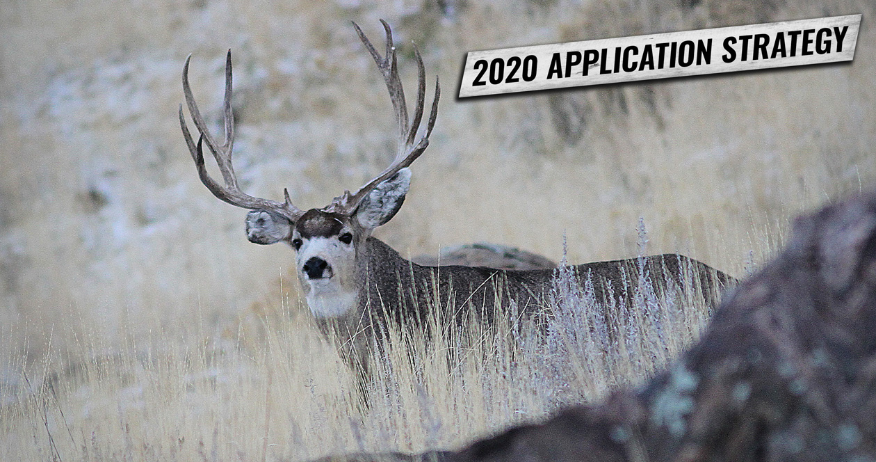 APPLICATION STRATEGY 2020: Arizona Deer, Sheep and Bison // GOHUNT. The ...