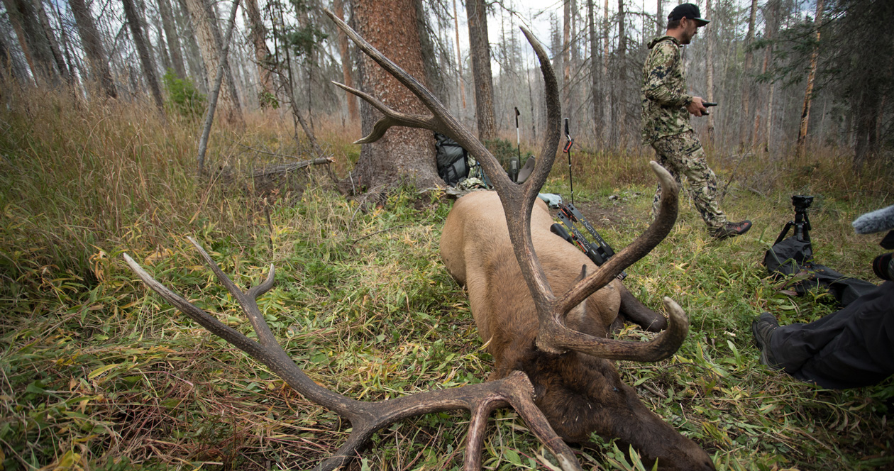 How to use the equinox and moon phase to time your archery elk hunt ...