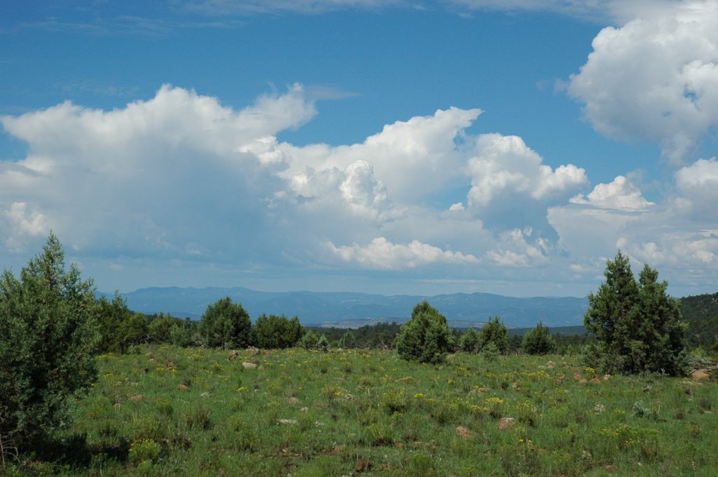 New Mexico Unit 16D Unit Profile // GOHUNT. The Hunting Company