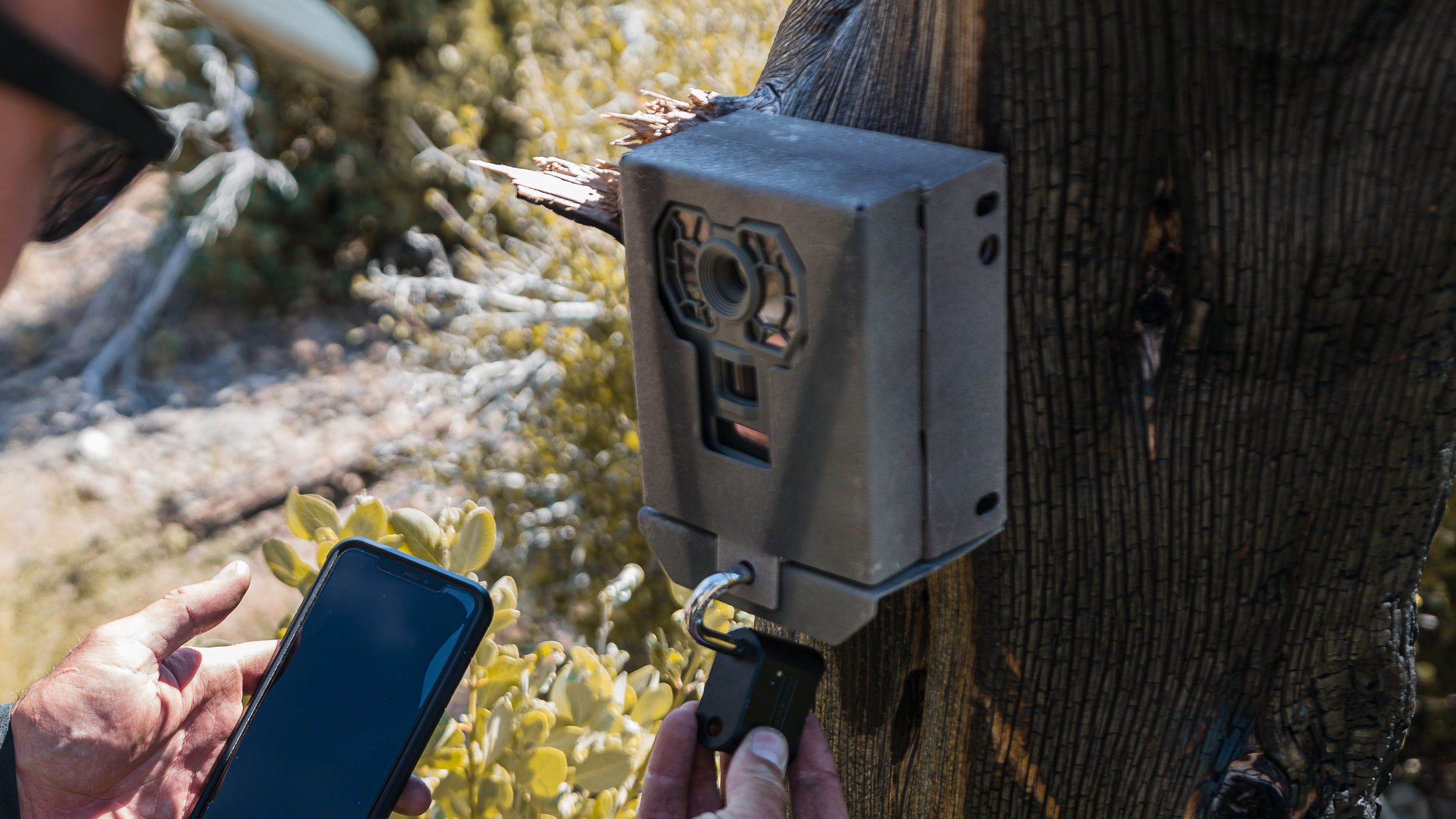 ALERT: New regulations for trail camera use in Nevada being discussed ...