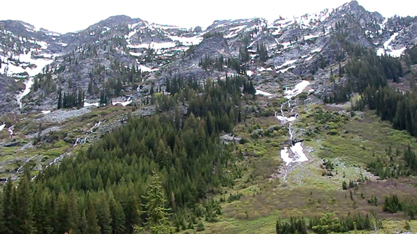 Spring bear buffet: Find the food to find the bears // GOHUNT. The ...