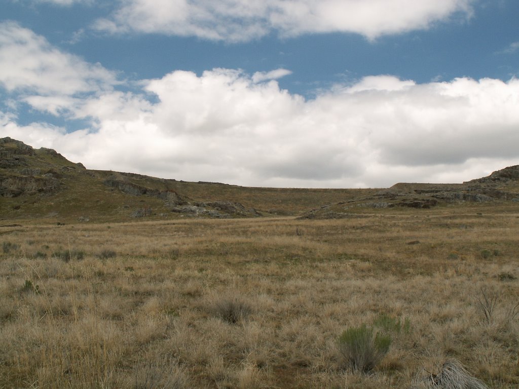 Utah Box Elder, Promontory Unit Profile // GOHUNT. The Hunting Company