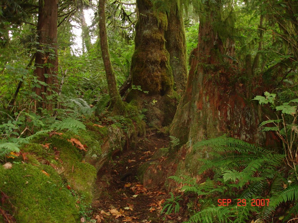 Oregon Unit 14 - Trask Unit Profile // GOHUNT. The Hunting Company