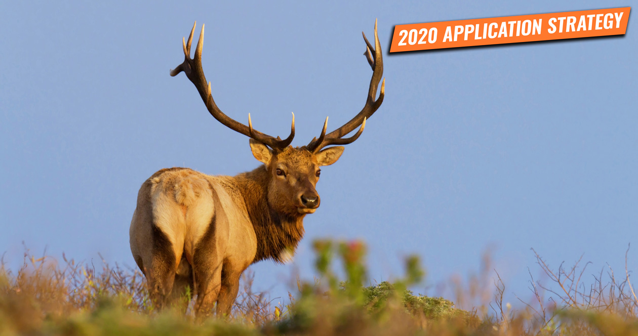 APPLICATION STRATEGY 2020: California Elk and Sheep // GOHUNT. The Hunting Company