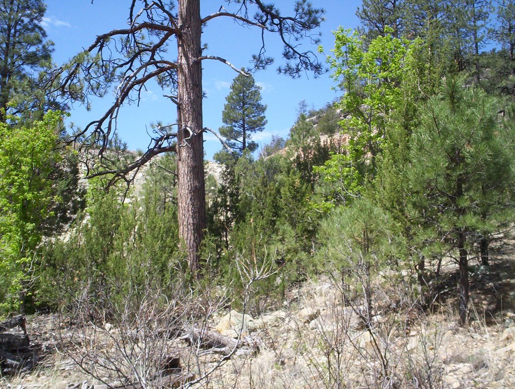 Arizona Unit 4B Unit Profile // GOHUNT. The Hunting Company