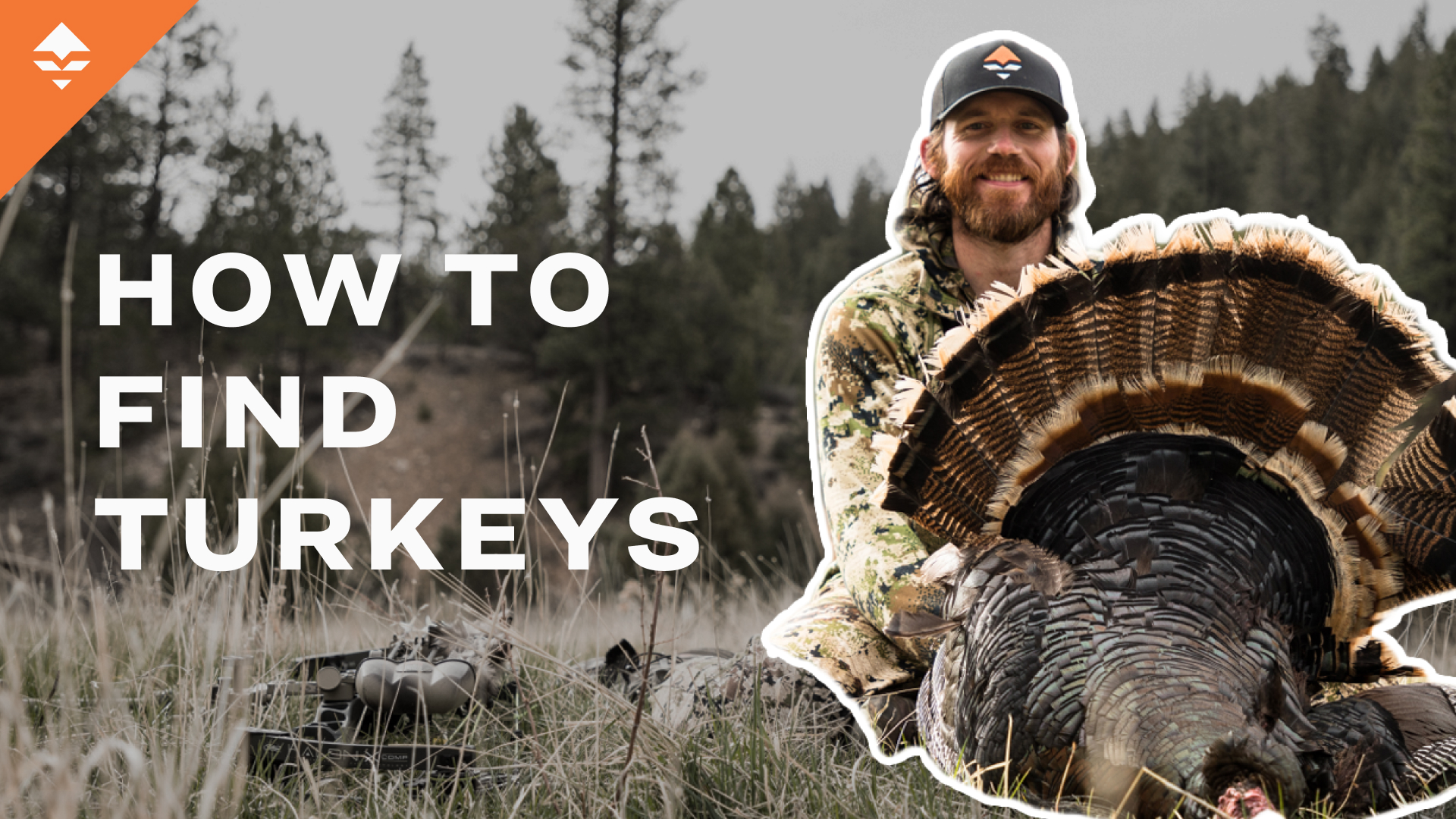 Tips to find more spring turkeys // GOHUNT. The Hunting Company