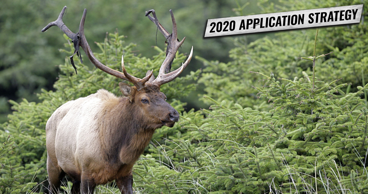 APPLICATION STRATEGY 2020: Oregon Elk and Antelope // GOHUNT. The ...