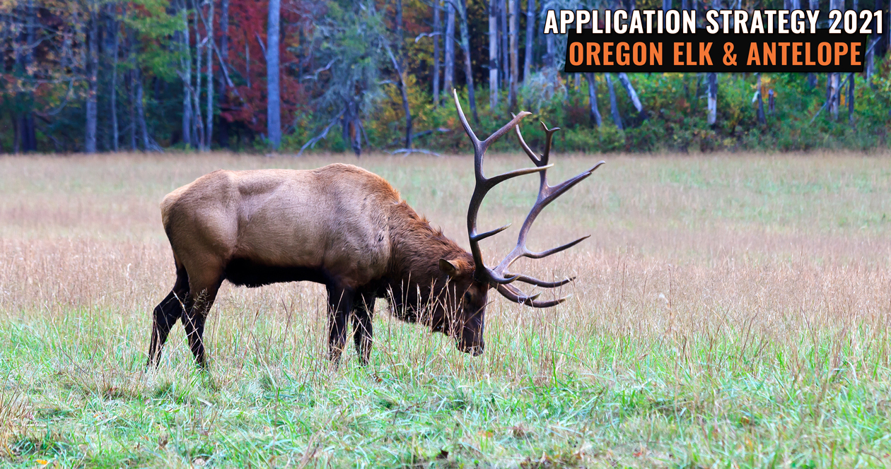 APPLICATION STRATEGY 2021: Oregon Elk and Antelope // GOHUNT. The ...