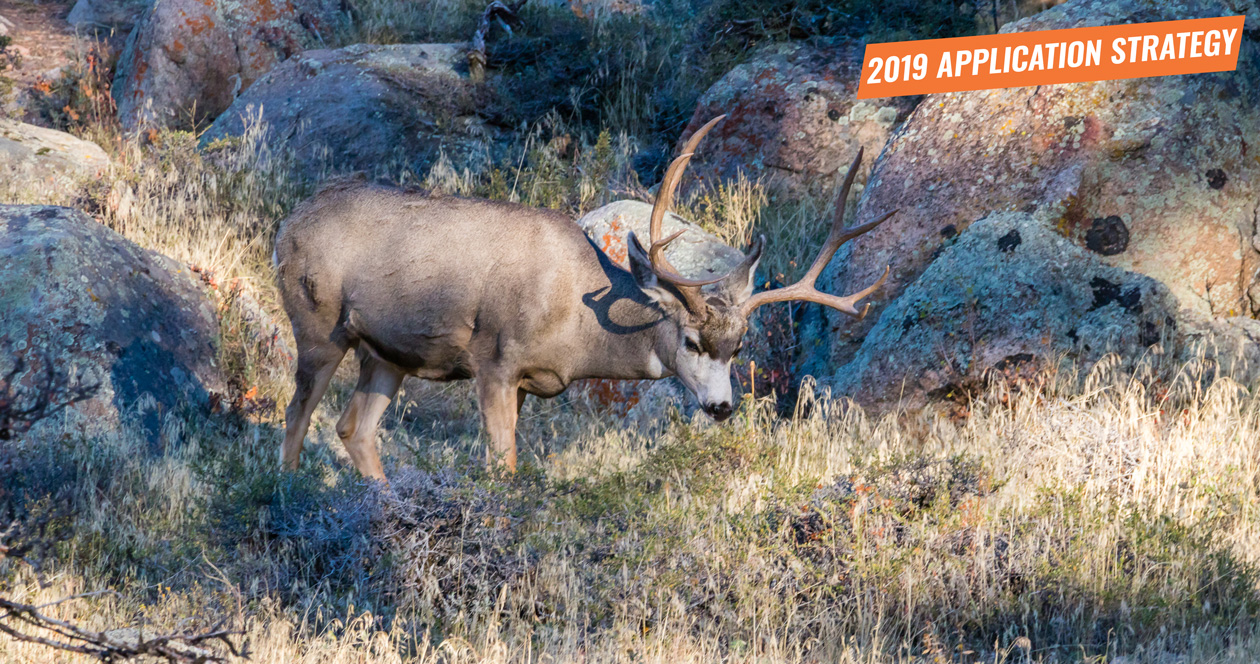 APPLICATION STRATEGY 2019: Arizona Deer, Sheep and Bison // GOHUNT. The ...
