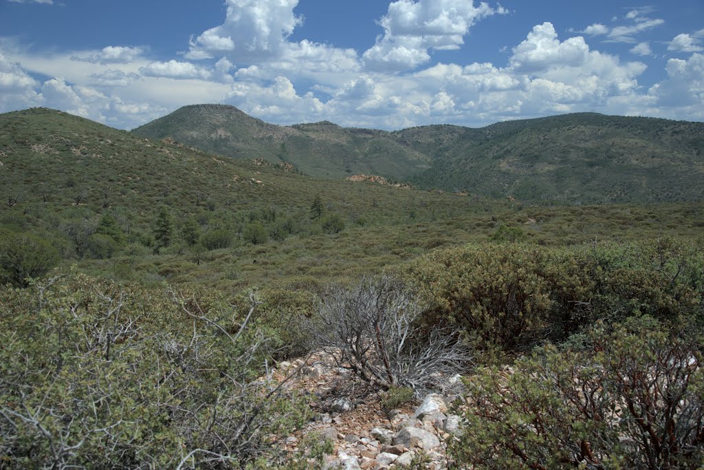Arizona Unit 17A Unit Profile - 21 Hunters are talking about this Unit ...