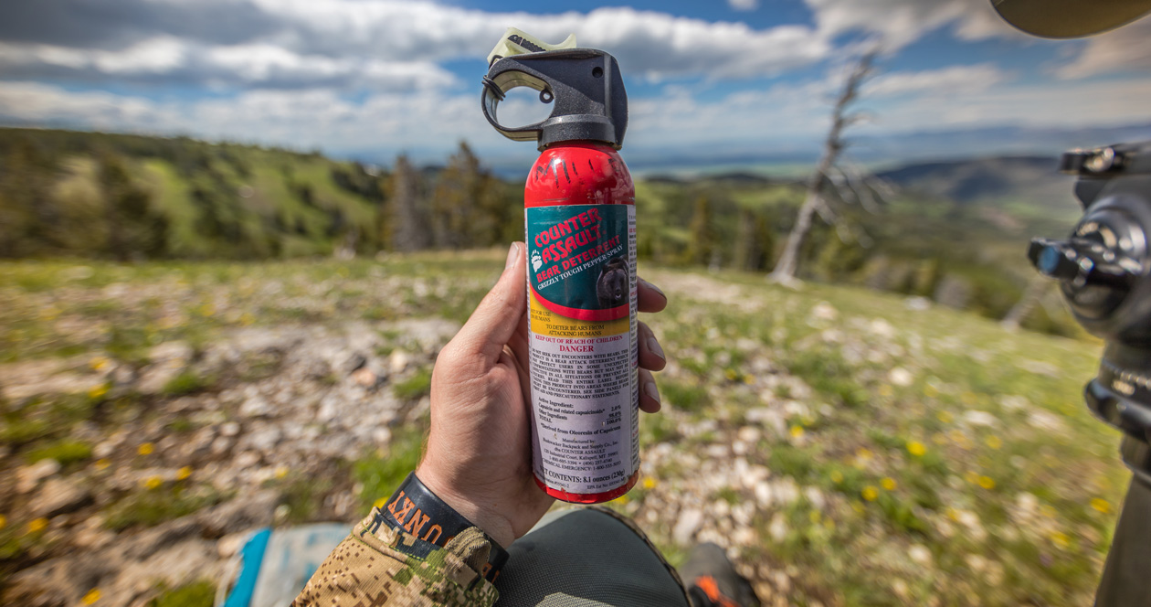 Hunting in grizzly bear country: Sidearm vs bear spray // GOHUNT. The ...
