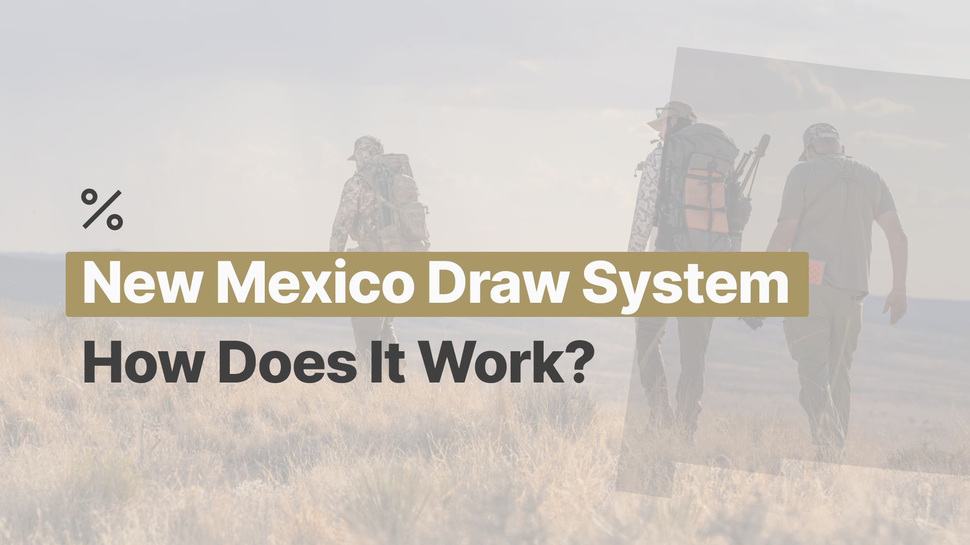 How does the New Mexico draw system work for hunts, and hunting ...