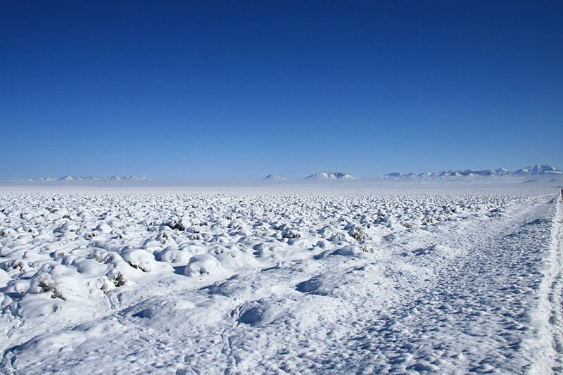 Nevada Unit 172 Unit Profile - 12 Hunters are talking about this Unit ...
